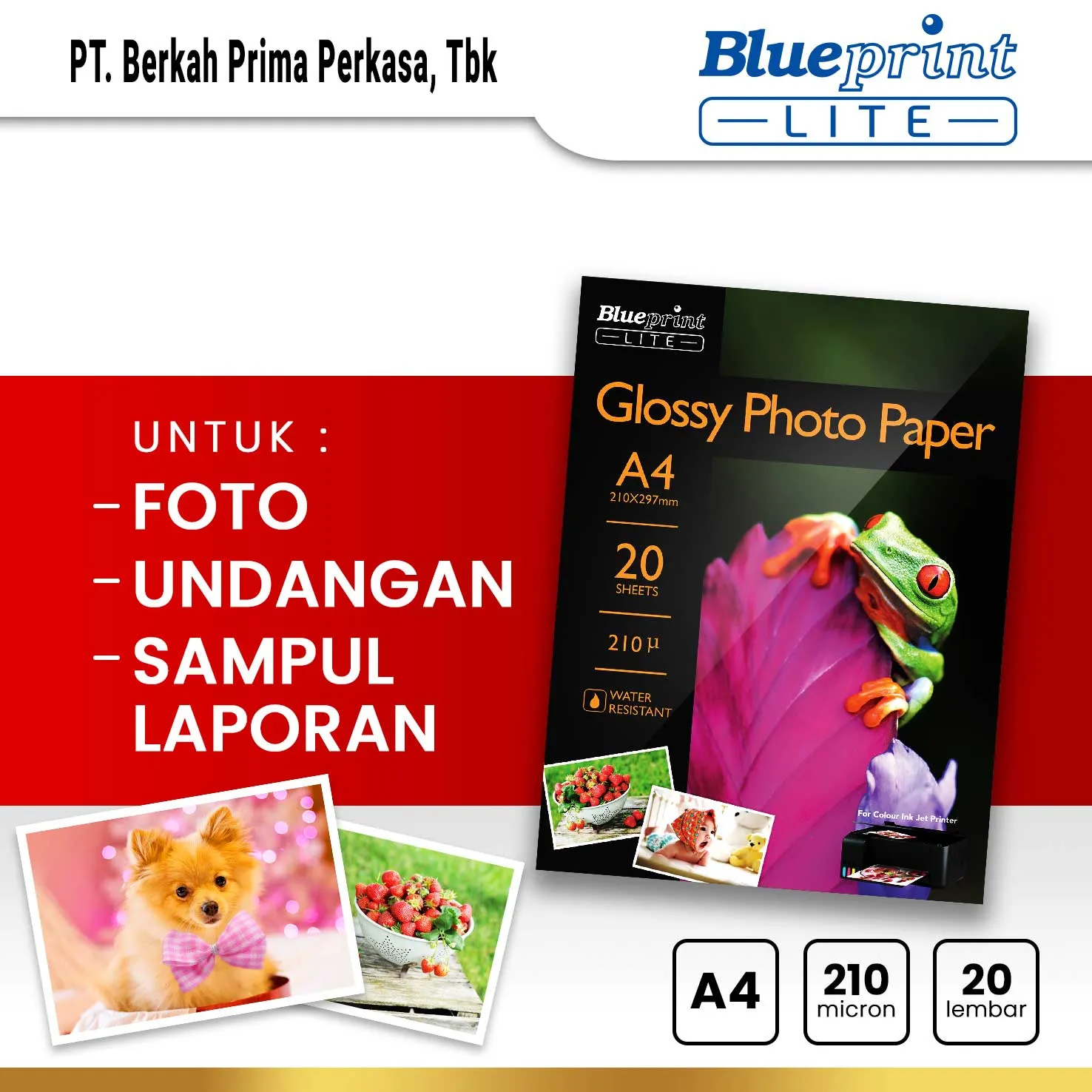 Kertas Foto Glossy Photo Paper Poto BLUEPRINT Lite A4 - 10R 210 Micron ...